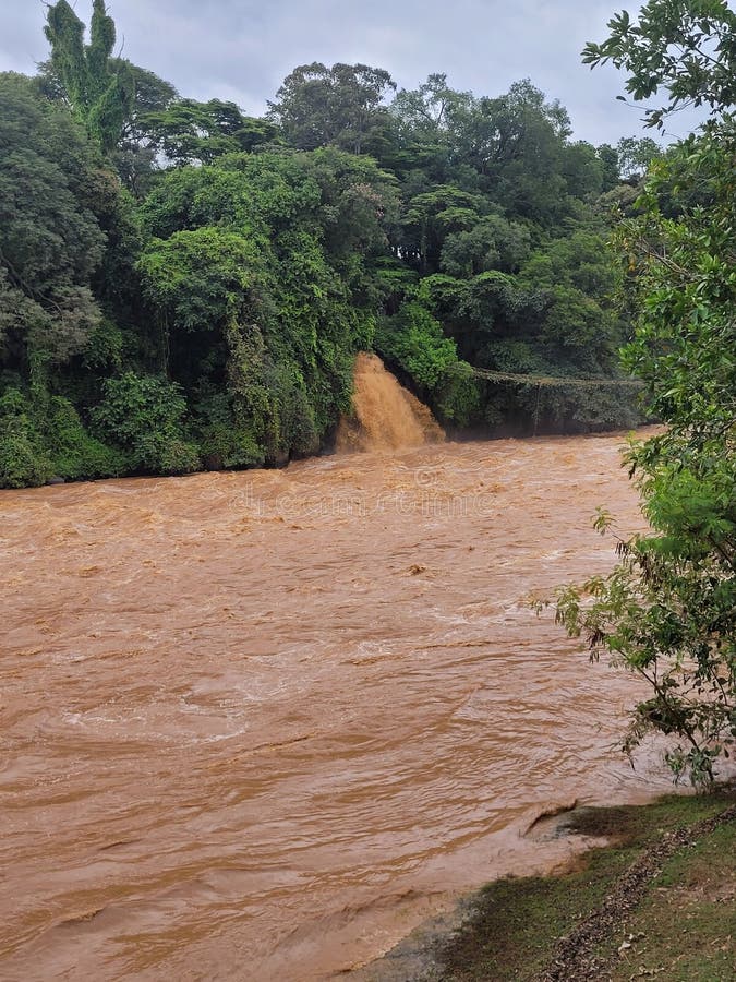 Muddy River Waterfall at the Edge of the Forest Stock Image - Image of ...