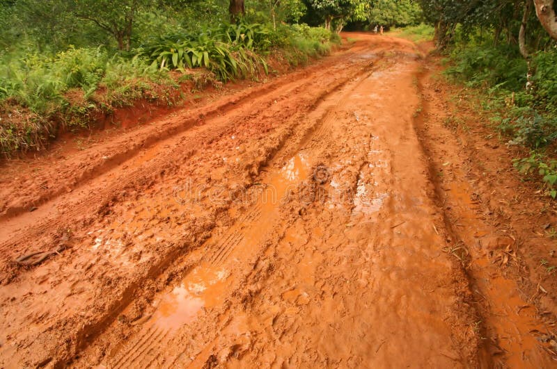 Muddy road stock photo. Image of difficult, outdoors - 23203154
