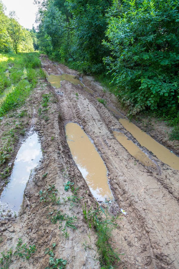 Muddy road stock image. Image of tire, dirt, lane, green - 43843487