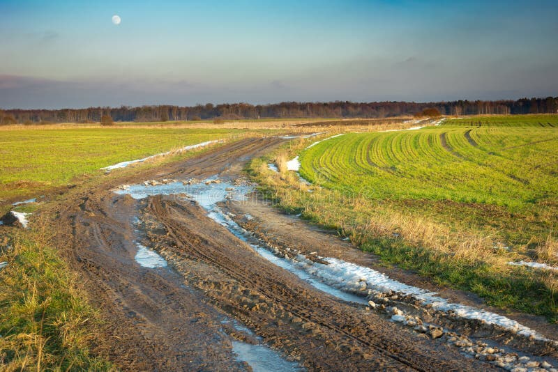 Muddy Road through Green Fields, Last Snow, Horizon and Moon on the Sky ...