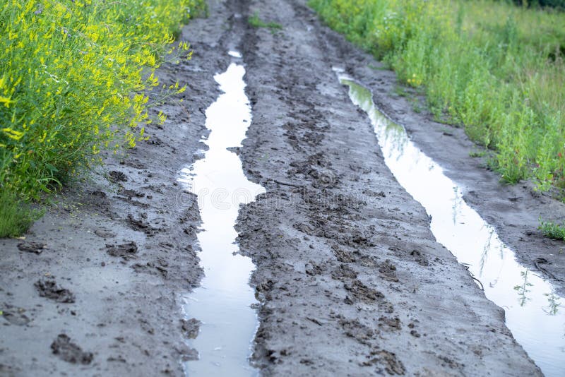 Muddy Road with Mud and Puddles in the Field Stock Image - Image of ...