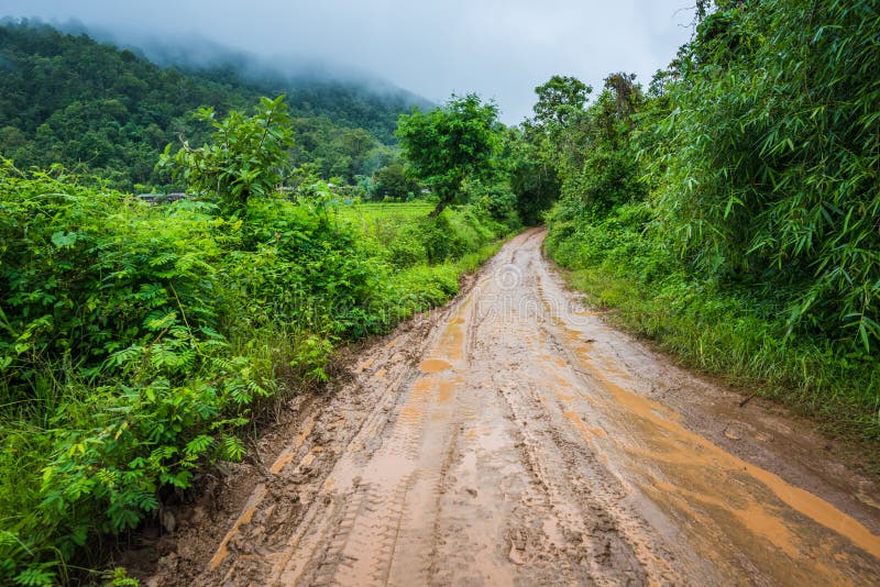 Muddy road stock photo. Image of travel, country, adventure - 245769780