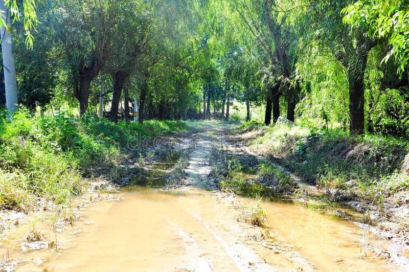 A Muddy Road Difficult To Walk Stock Photo - Image of path, road: 158860632