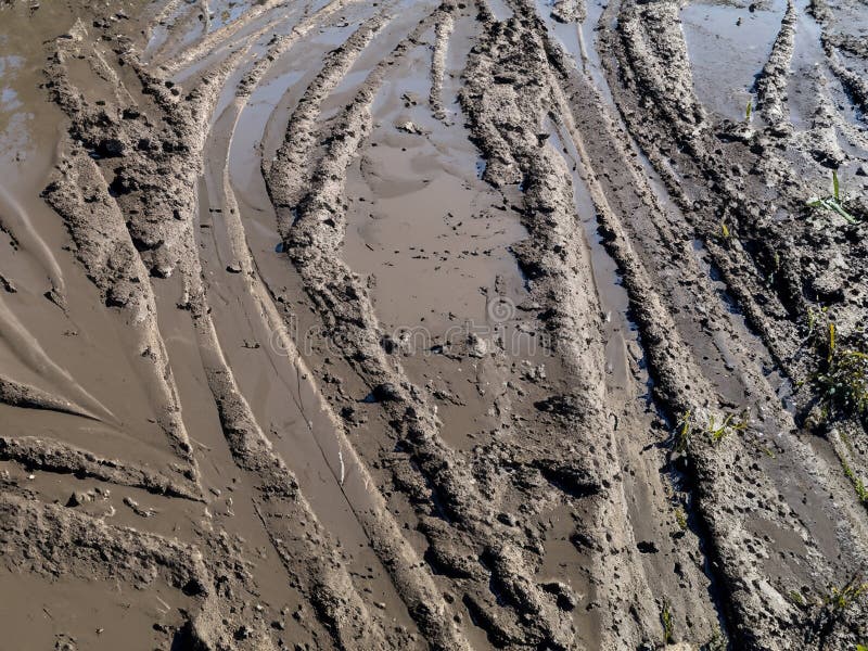 Wet Muddy Road Vector Pictogram Stock Vector - Illustration of ...