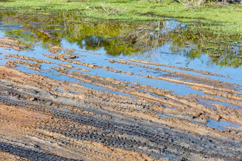 A Muddy Road with a Reflection of Trees in the Water Stock Image ...