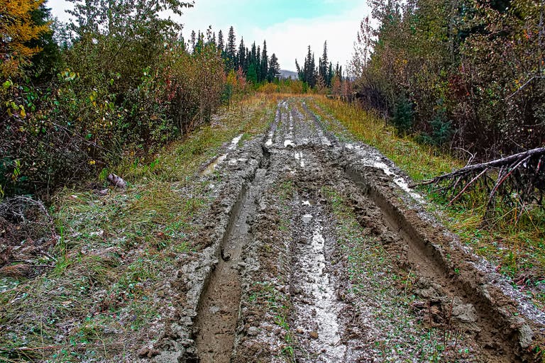 A Muddy Road with Ruts in a Cutline Stock Image - Image of nature, soil ...