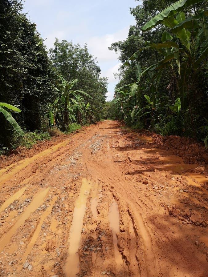 Muddy road stock photo. Image of waterlogged, slippery - 339926532
