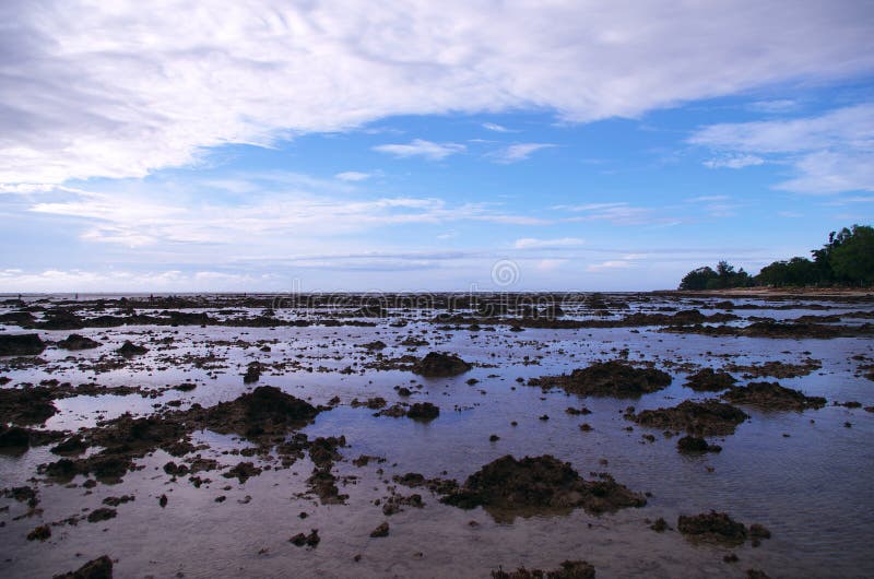 Muddy rocks stock image. Image of scenic, seashore, pattern - 46605547