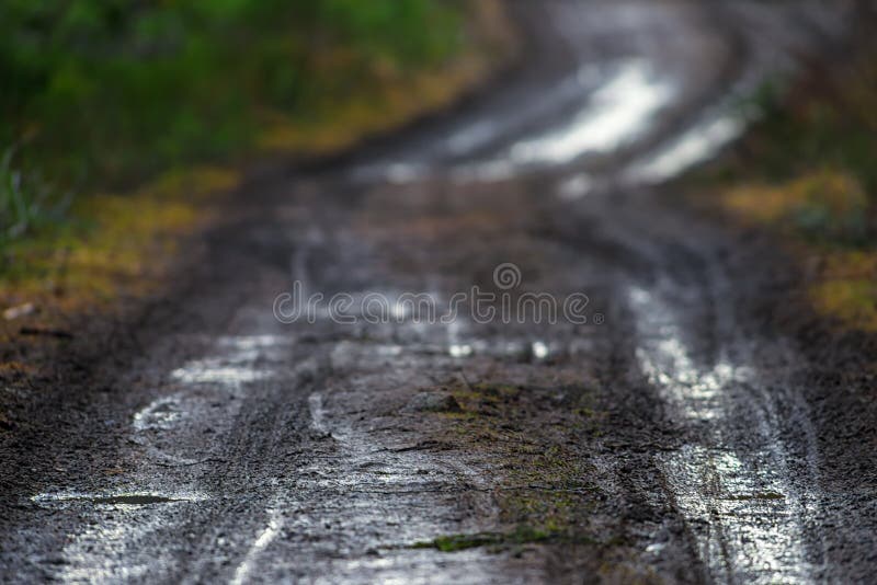 Muddy rural dirt road stock photo. Image of sweden, green - 37929992
