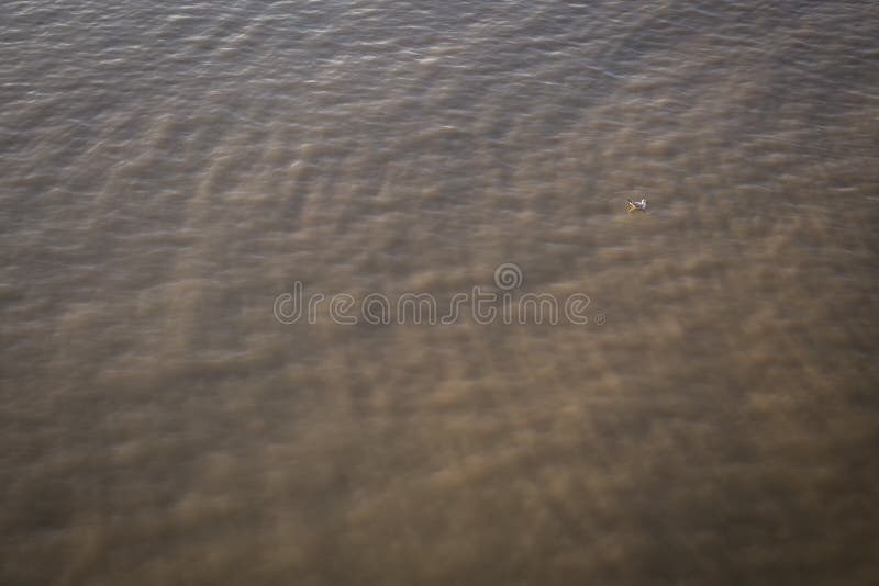 Muddy Sea Texture at Brighton Beach Stock Image - Image of ripples ...