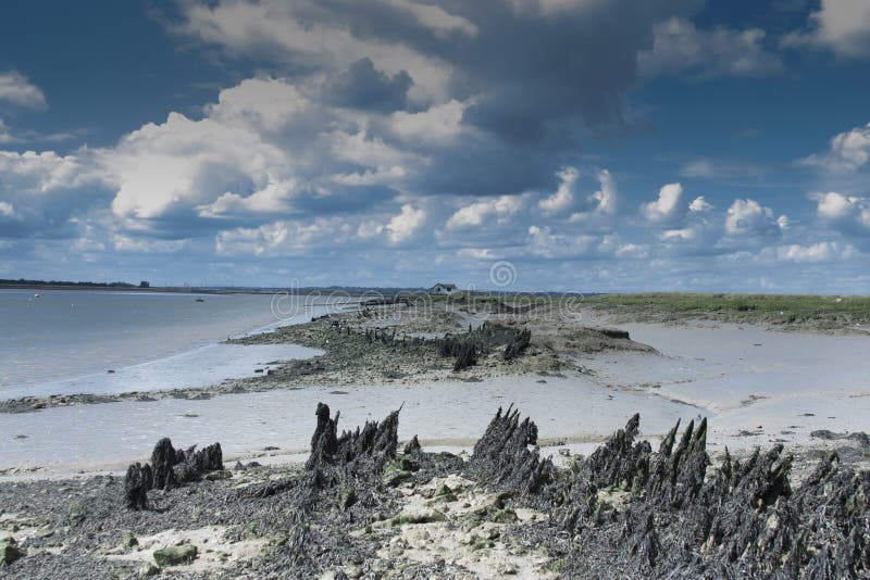 Muddy shore and cloudy sky stock photo. Image of seaweeds - 26316944
