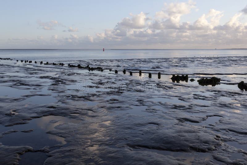 Muddy Shore of Dutch Waddenzee at Low Tide on Vlieland Stock Image ...