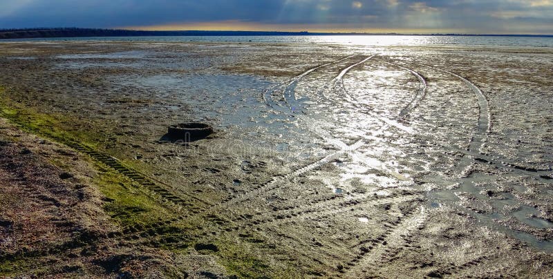 Muddy Shore of the Tiligul Estuary during Low Tide, Green Algae on the ...