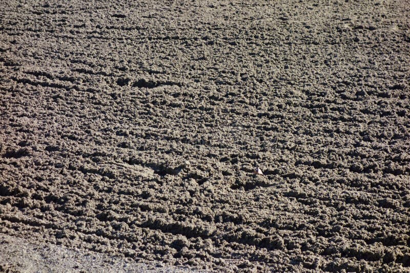 Muddy soil pattern stock photo. Image of texture, stadium - 170266360