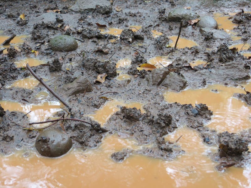 Muddy soil from the rain stock photo. Image of abstract - 116143832