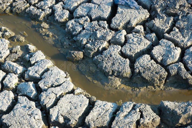 Muddy Spring On Dried Dirt Picture. Image: 2606852