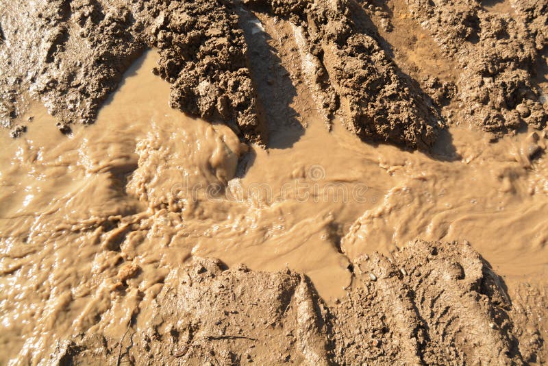 Muddy Hot Spring Em Yellowstone Imagem de Stock - Imagem de gorgolejar ...