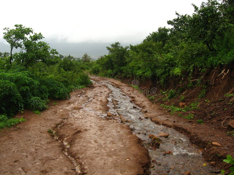 Muddy stream and dirt road stock photo. Image of tropical - 4931194