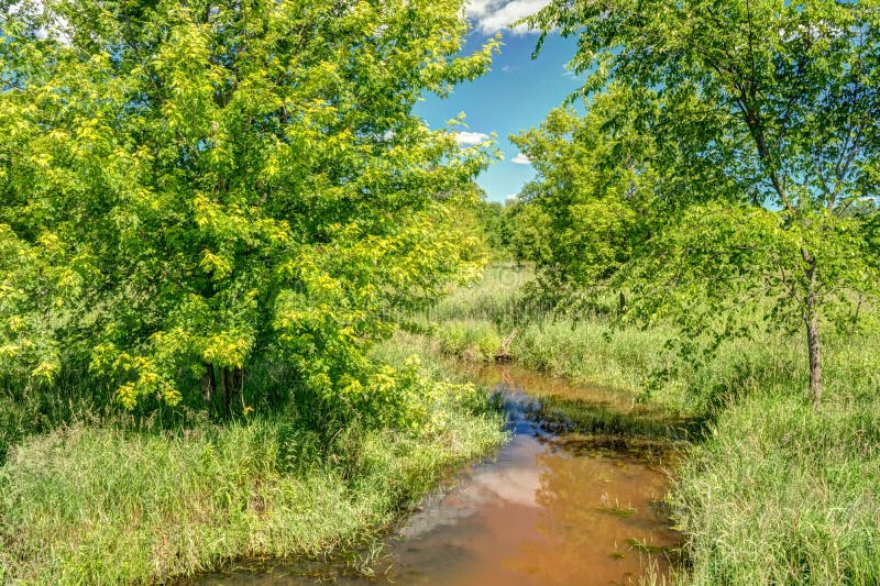 Muddy stream stock photo. Image of muddy, river, creek - 6370134