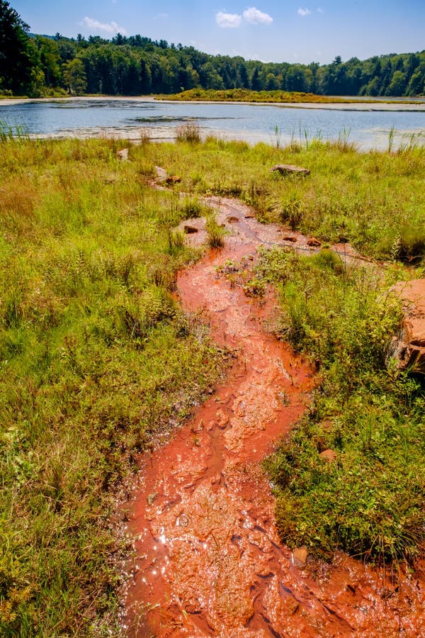 Muddy Stream With Yellow Aspen Leaves Stock Image - Image of season ...