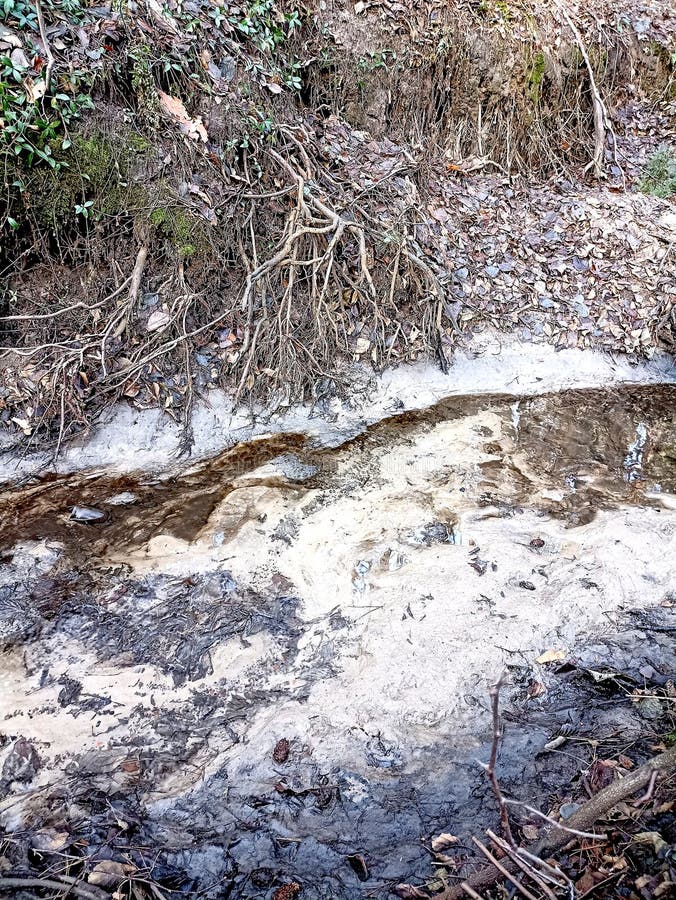 A Muddy Stream with a Lot of Debris and Branches. Stock Photo - Image ...
