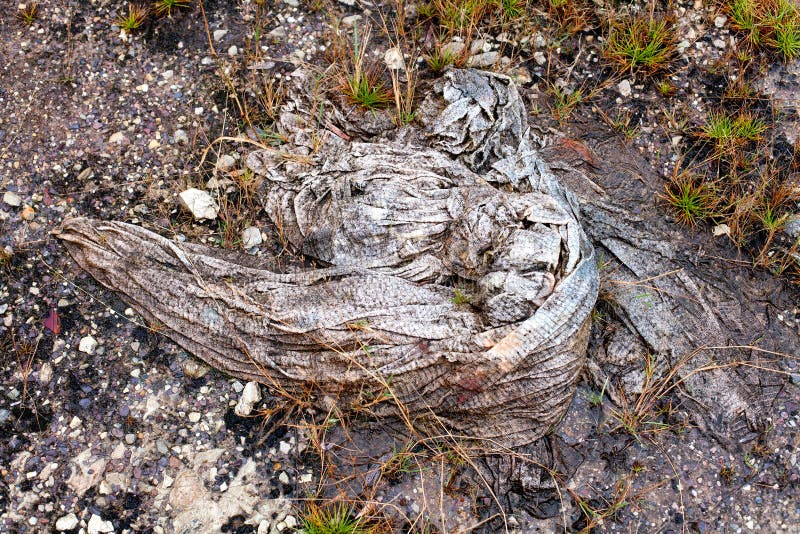 Muddy Textured Cloth on the Ground Stock Image - Image of muddy ...