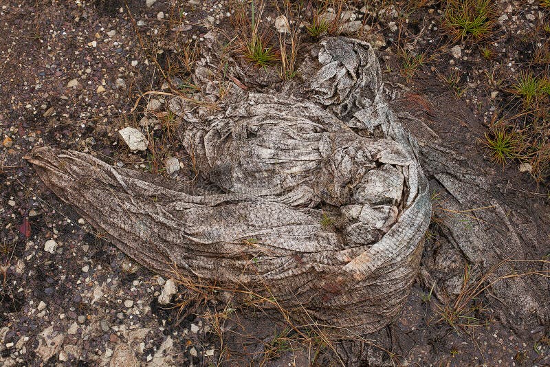 Muddy Textured Cloth on the Ground Stock Image - Image of muddy ...