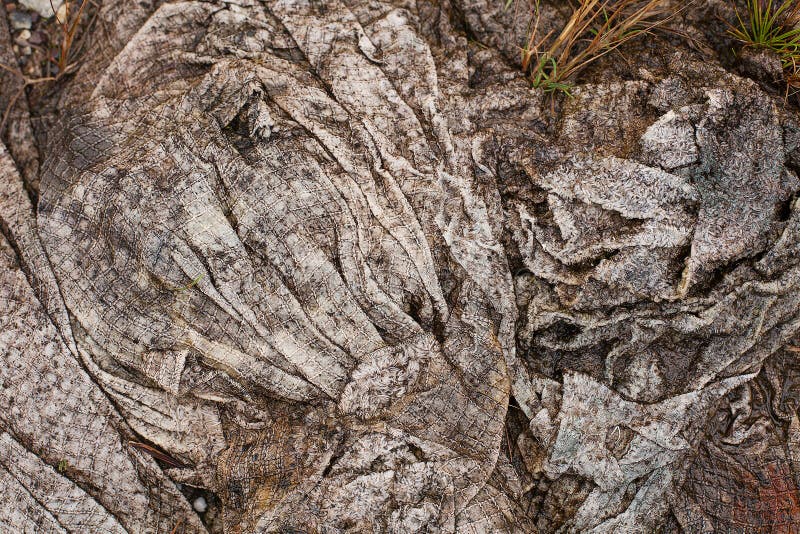 Muddy Textured Cloth on the Ground Stock Image - Image of muddy ...