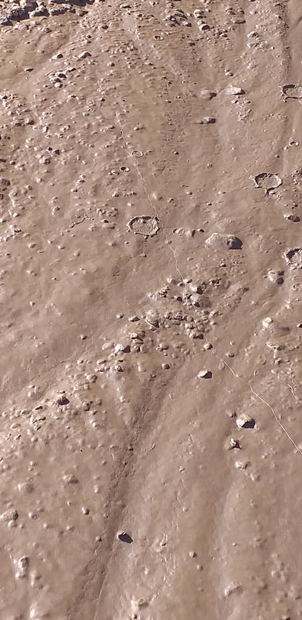 Muddy top soil stock image. Image of nature, muddy, river - 175751707