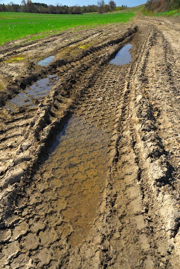 Muddy Tracks between the Bushes Stock Photo - Image of field, pathway ...