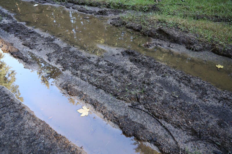 Muddy Tracks between the Bushes Stock Photo - Image of field, pathway ...