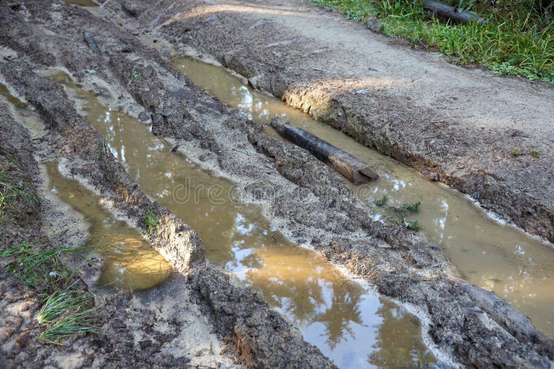 Muddy Tracks with Puddles on Wet Muddy Surface in Forest Path Stock ...