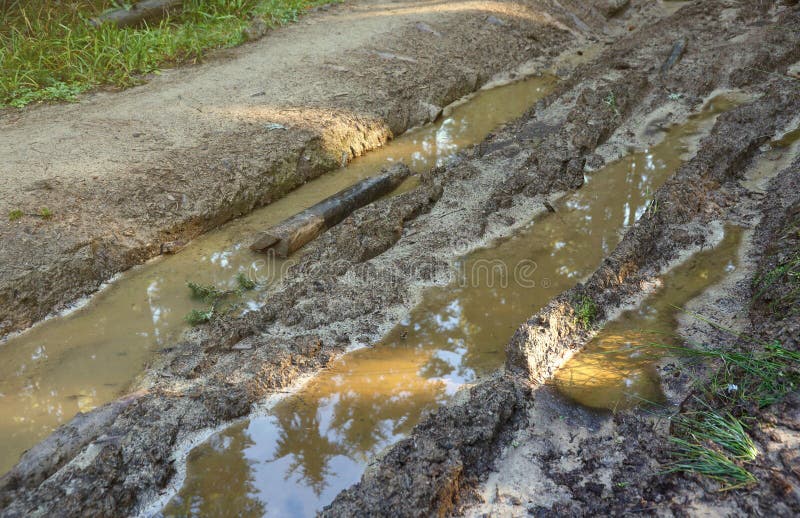 Muddy Tracks with Puddles on Wet Muddy Surface in Forest Path Stock ...