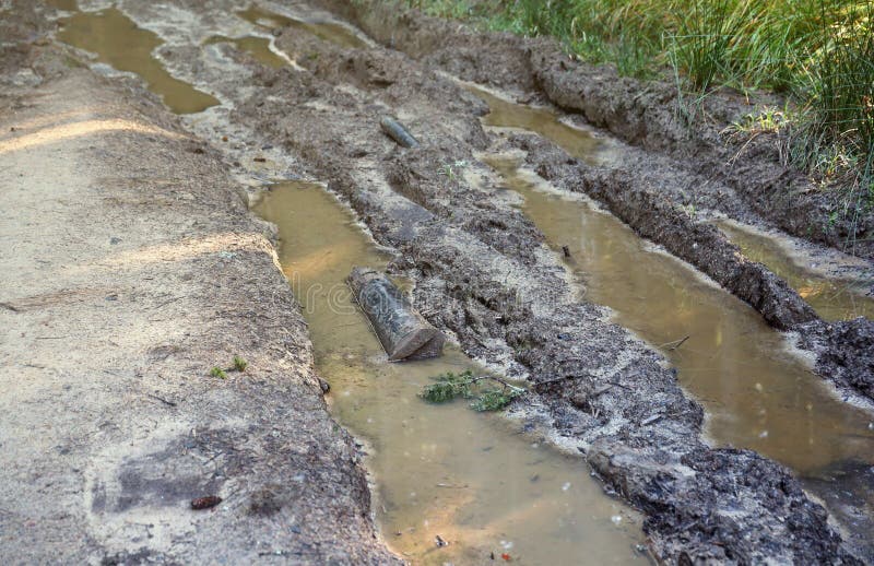 Muddy Tracks with Puddles on Wet Muddy Surface in Forest Path Stock ...