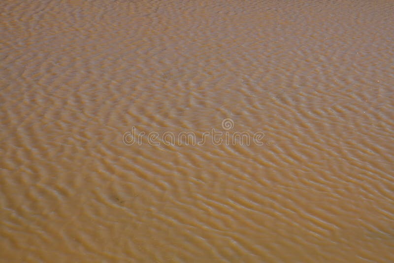 Dirty Water Texture