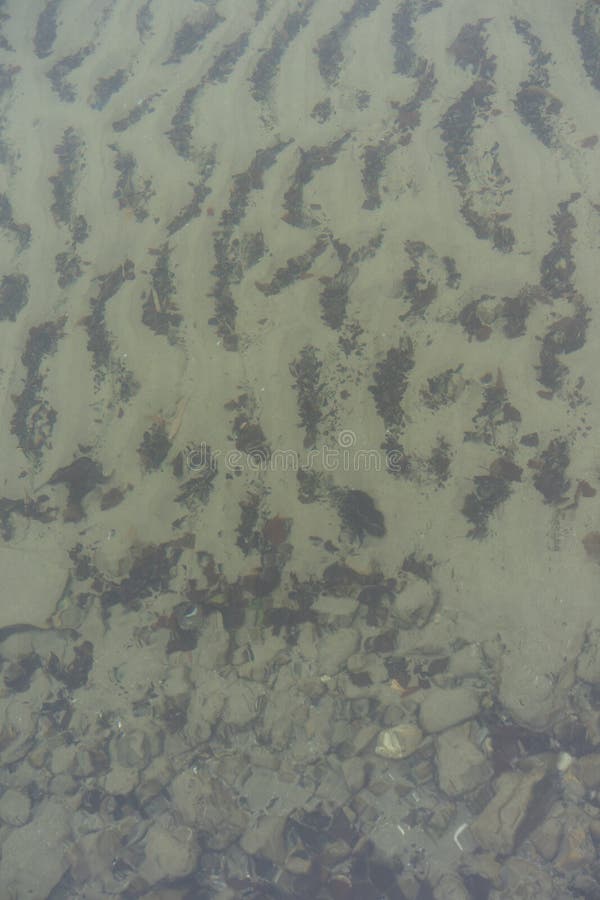 Muddy water texture stock photo. Image of waves, river - 78418580