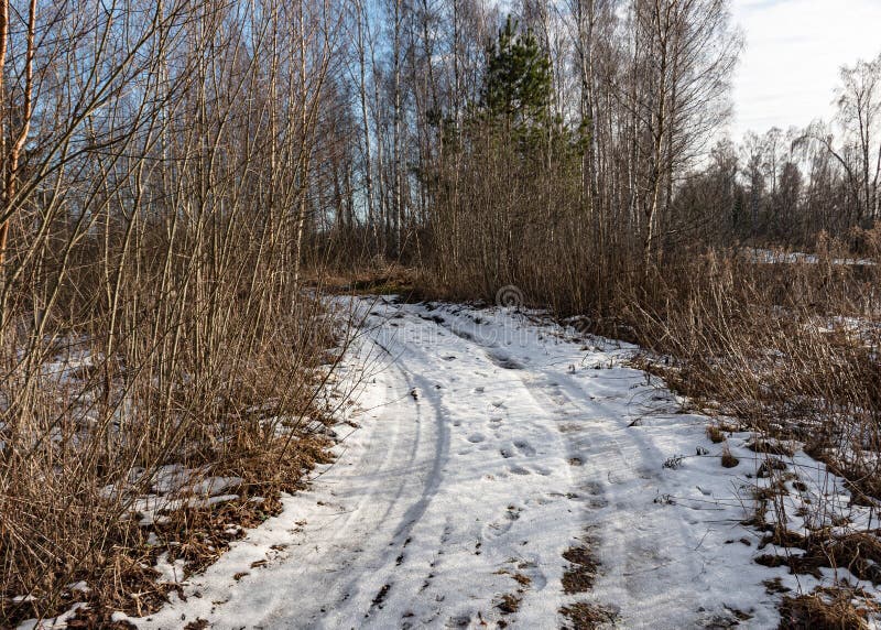 A Muddy, Wet Road, Mud Texture, Snow Remnants, Winter Road Stock Photo ...