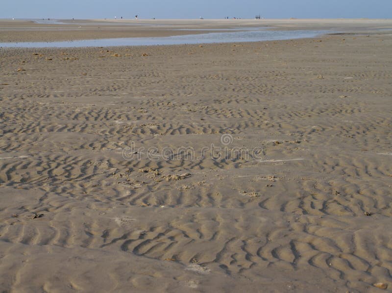 Mudflat Beach, Focus on Foreground Stock Image - Image of destination ...
