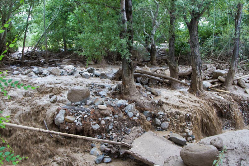Mudflow stock photo. Image of destruction, area, forest - 57053098
