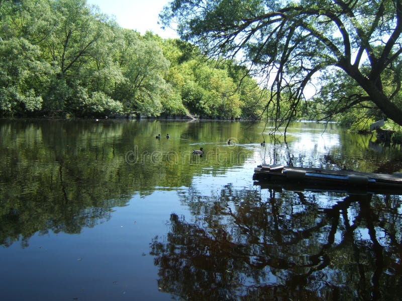 Muelle del río foto de archivo. Imagen de relaje, indeciso - 847422