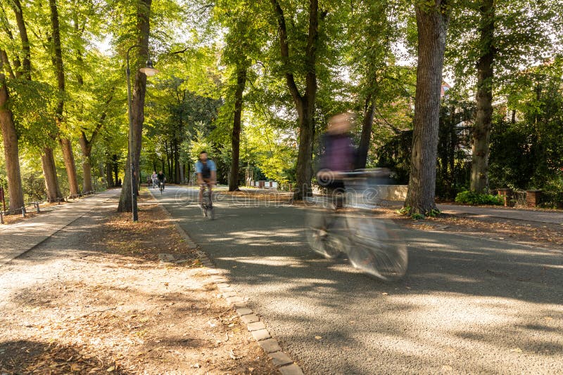 Muenster Promenade with Bikes and Motion Blur Stock Image - Image of ...