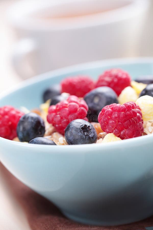 Muesli with fruits stock image. Image of vertical, muesli - 22085383