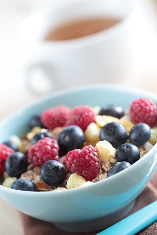 Muesli with fruits stock photo. Image of macro, closeup - 24393998