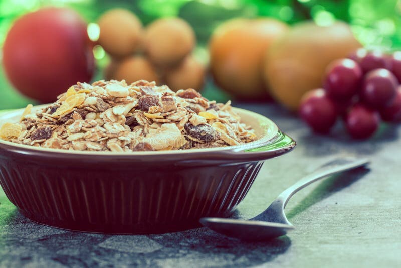 Muesli with fruits stock image. Image of musli, oatmeal - 125907865