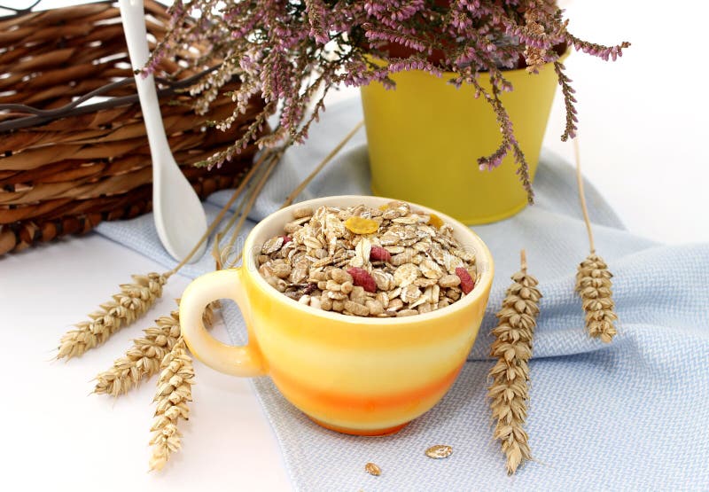 Muesli of oats with raisin stock photo. Image of nature - 39143896