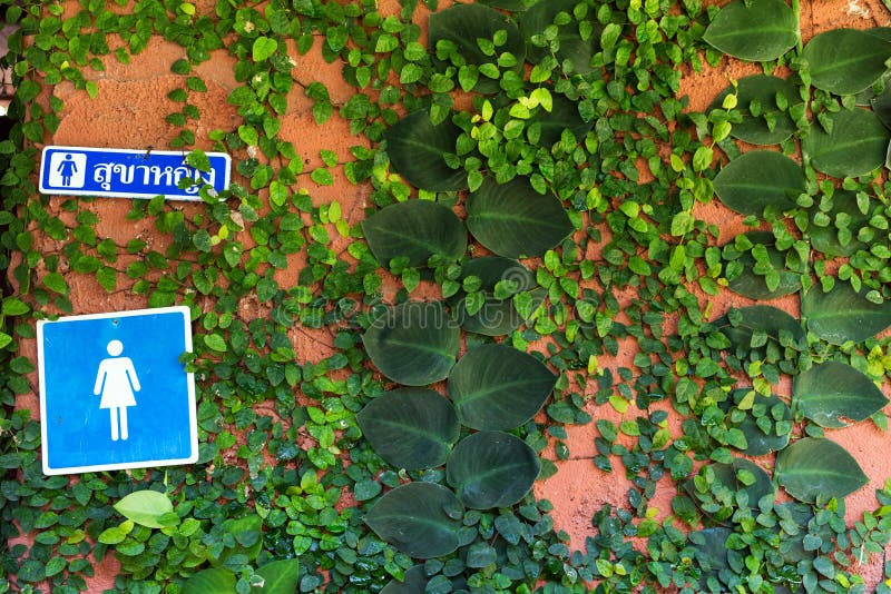 Muestra Del Sitio Del Retrete De La Mujer Foto de archivo - Imagen de ...