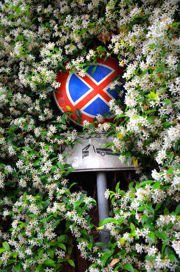 El Parquear En Lugar Prohibido Imagen de archivo - Imagen de detalle ...