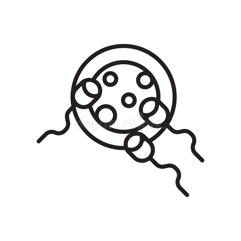 Muestra Y Símbolo Del Vector Del Icono De La Reproducción Aislados En