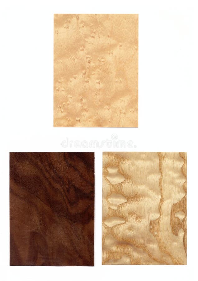Muestras De Madera Barnizada Sobre Fondo Blanco Imagen de archivo ...
