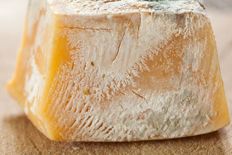 Muffa su formaggio immagine stock. Immagine di antigienico - 29459705